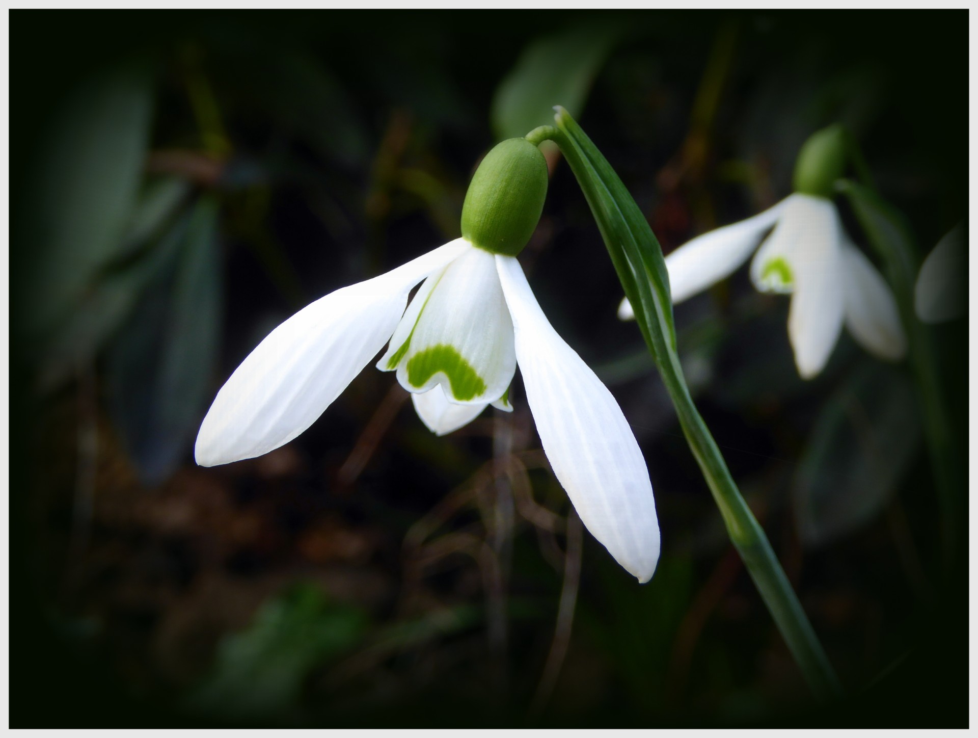 Digiphoto Competition June 2024 - Aughton and Ormskirk